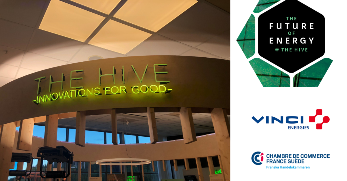 Webinar with our member VINCI Energies : The Futur of Energy | CCI ...